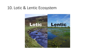 Types of Ecosystem.pptx khiuuhjknm,nmnm. | PPTX