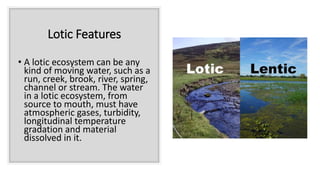 Types of Ecosystem.pptx khiuuhjknm,nmnm. | PPTX