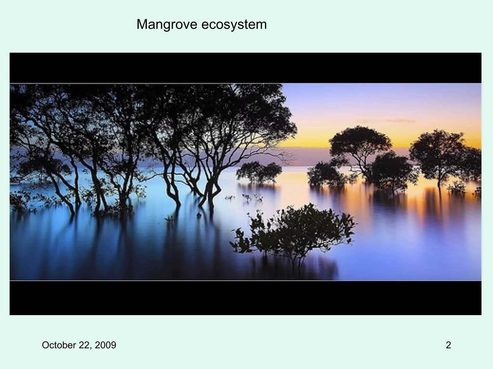 Types Of Ecosystems | PPT | Biological Sciences | Science