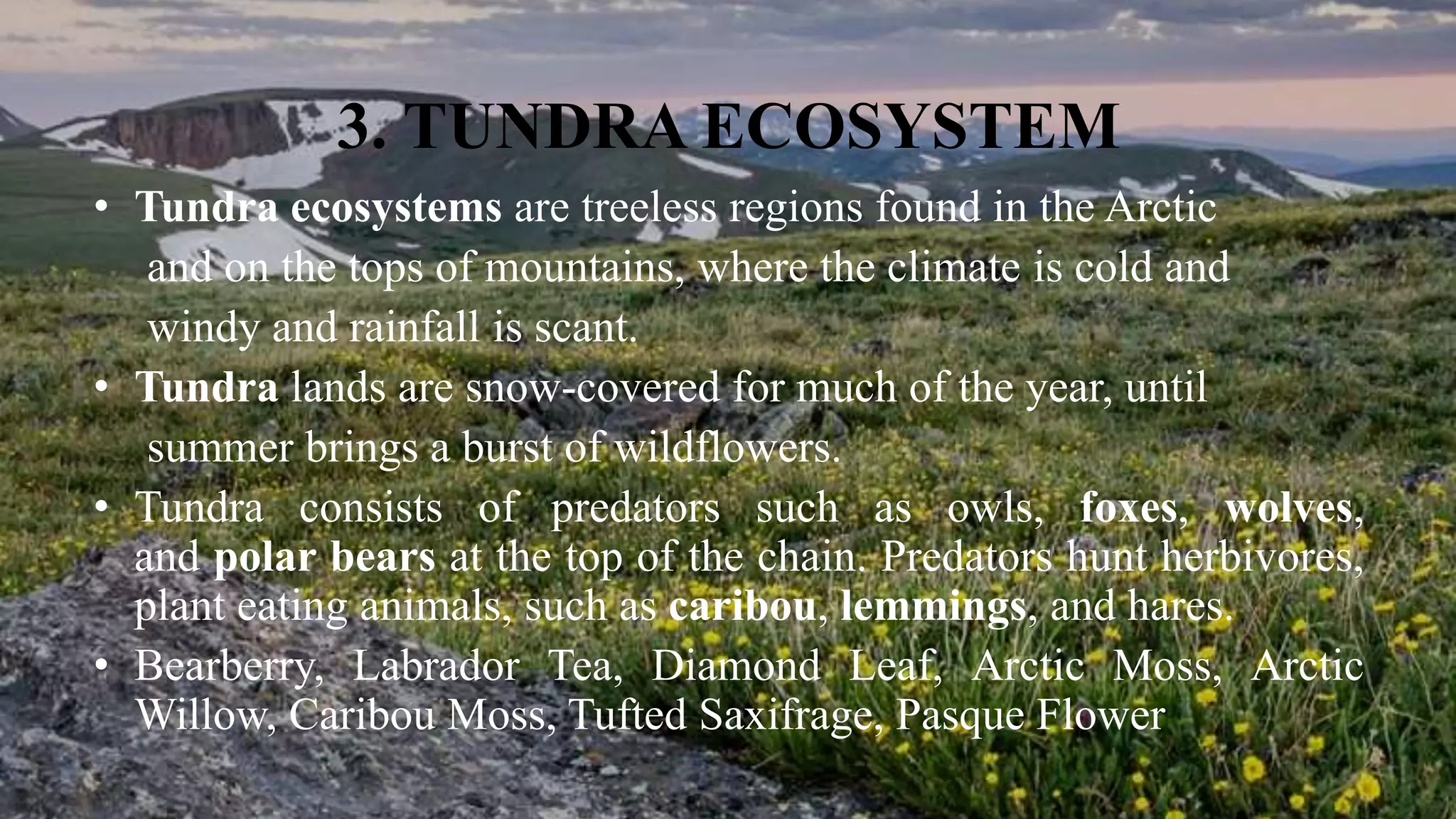 Types of Ecosystem | PPTX