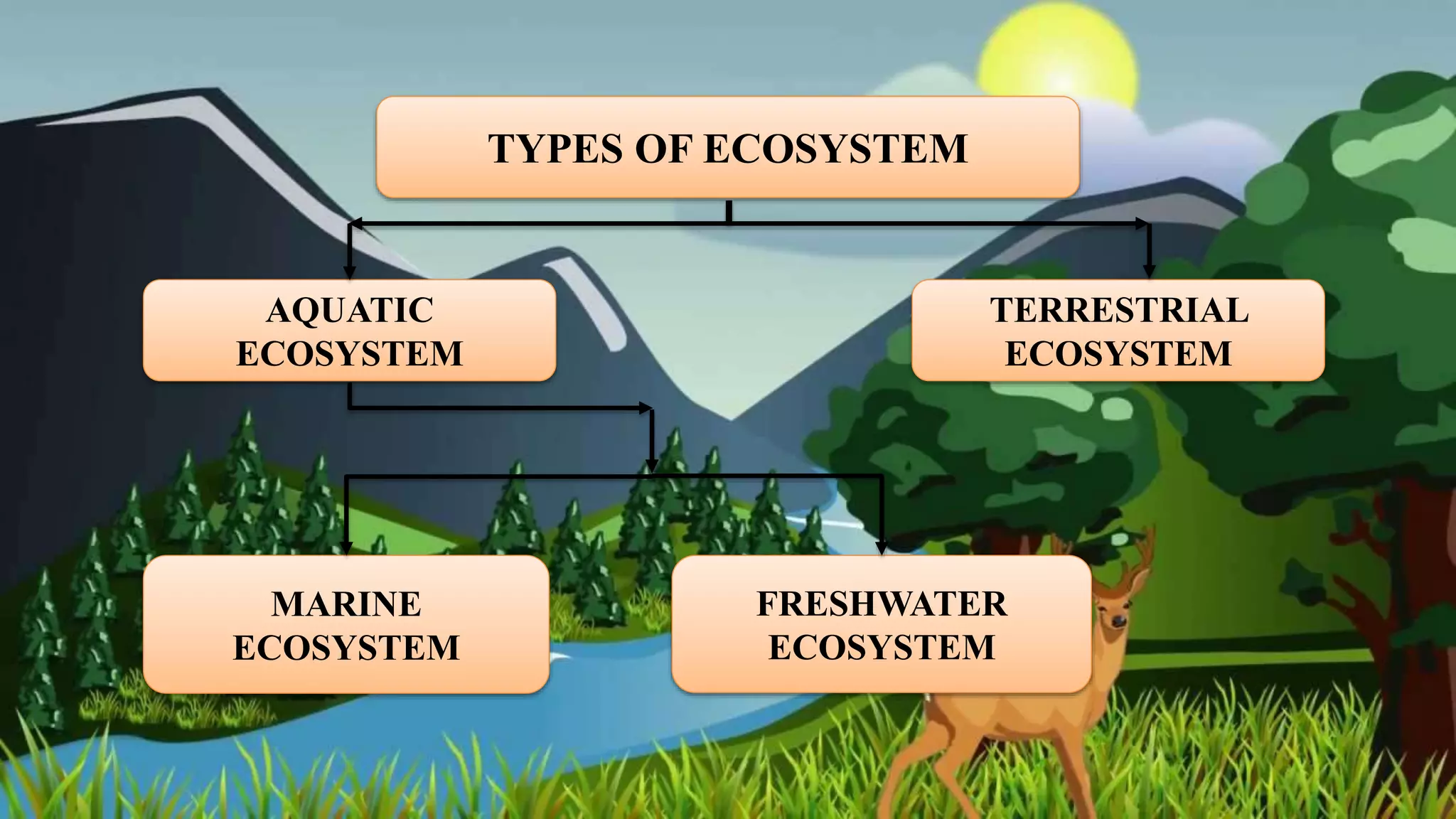 Types of Ecosystem | PPTX