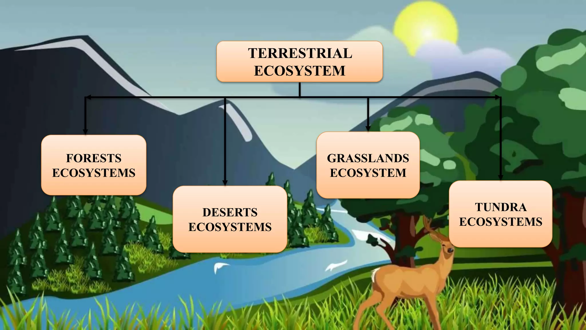 Types Of Ecosystem Ppt
