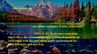 Types of Ecosystem | PPTX
