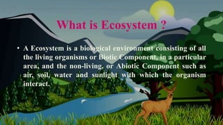 Types of Ecosystem | PPTX