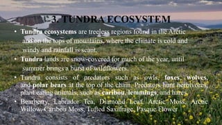 Types of Ecosystem | PPTX