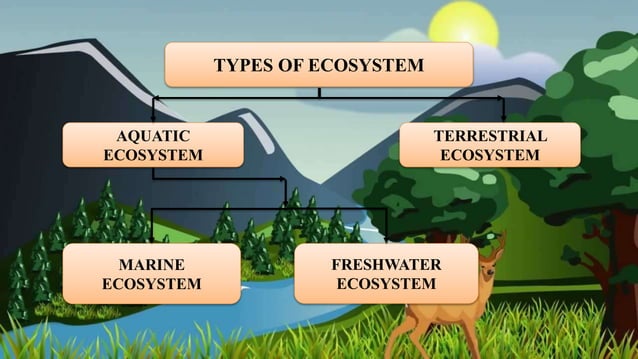 Types of Ecosystem | PPTX