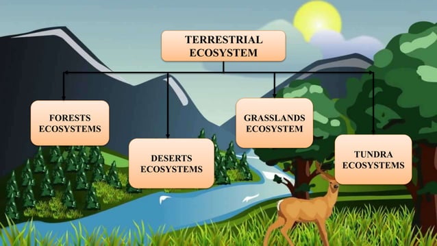 Types of Ecosystem | PPTX
