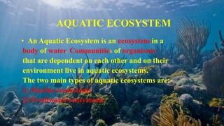 Types of Ecosystem | PPTX