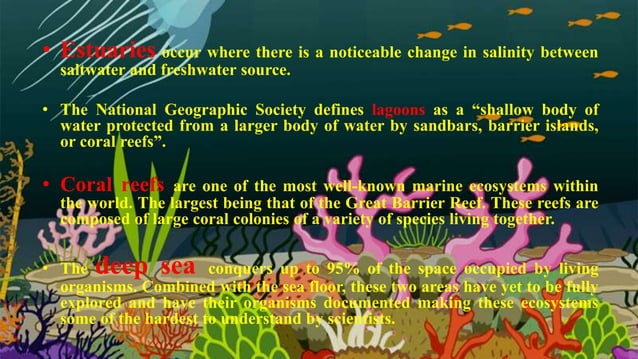 Types of Ecosystem | PPTX