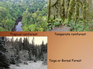 Types of Ecosystems.pptx