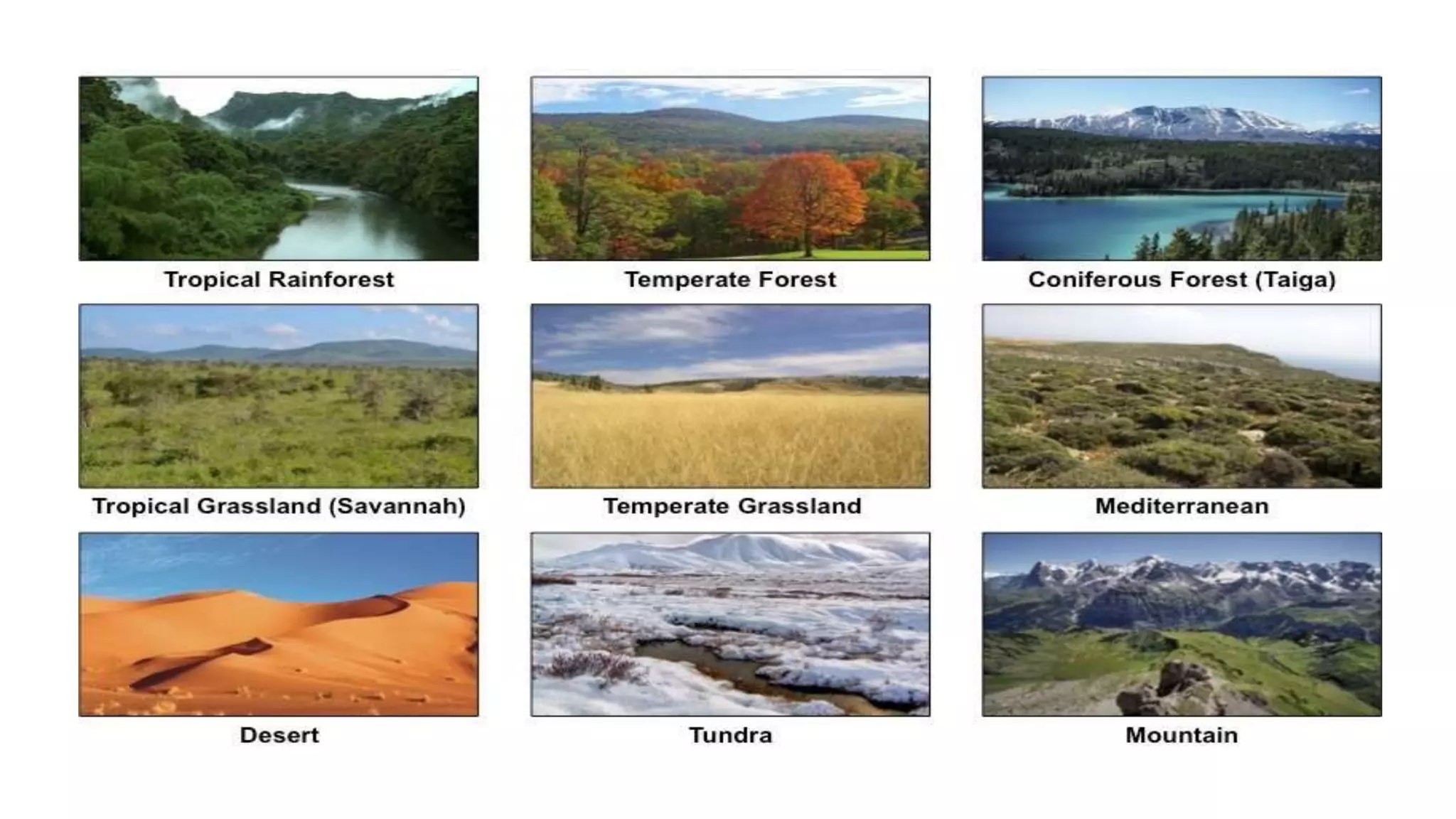 Types of ecosystems.pptx