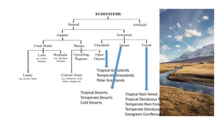 Types of ecosystems.pptx