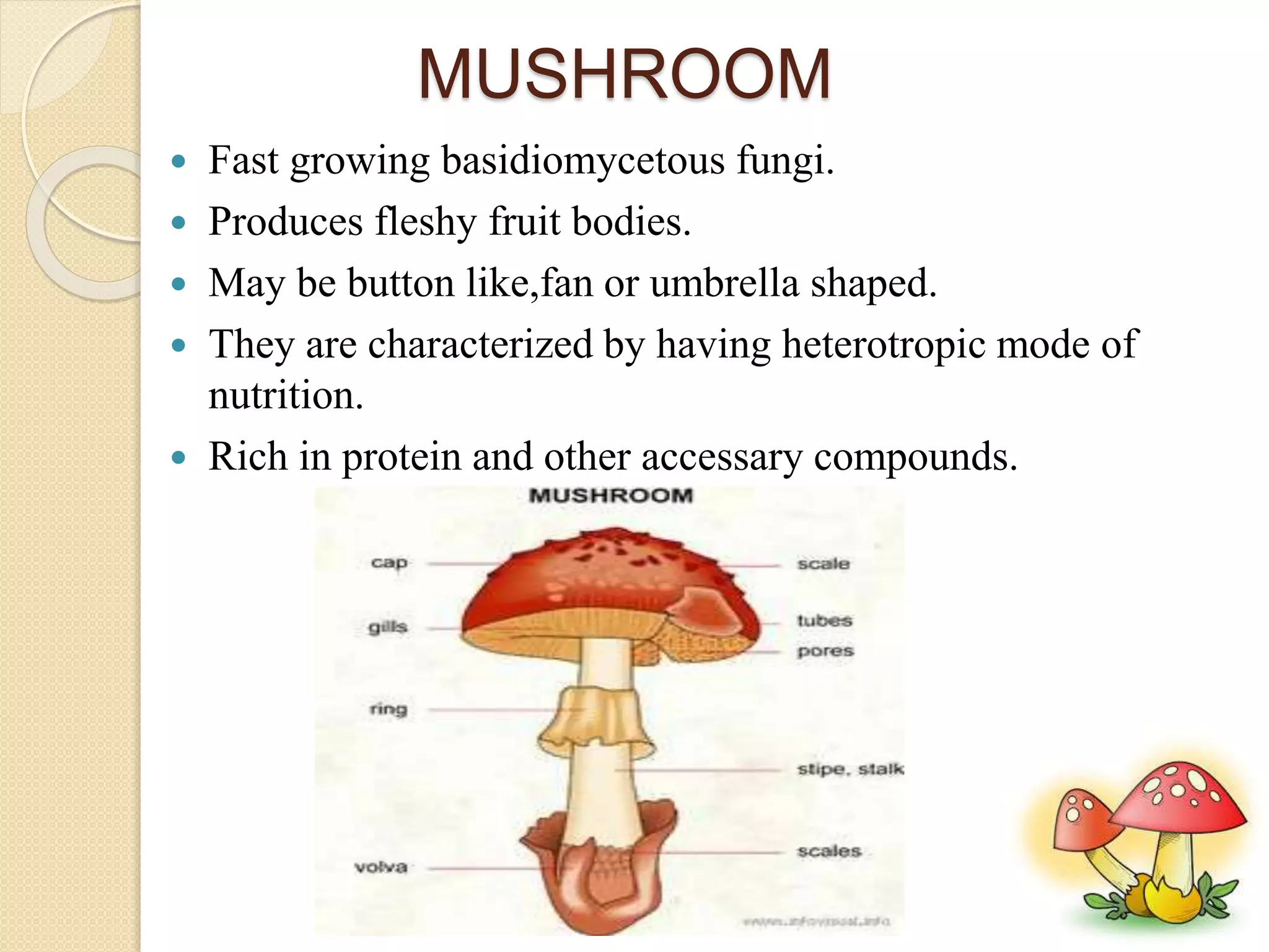Types of edible mushroom in india | PPTX