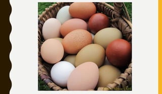 Different Types of egg | PPTX