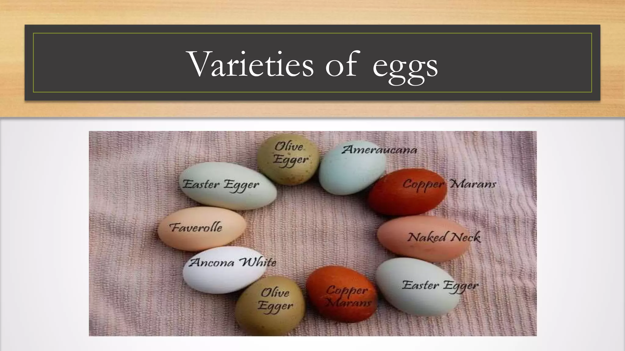 Types of the eggs | PPTX