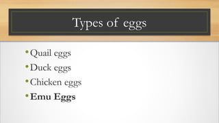 Types of the eggs | PPTX