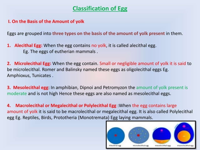 Types of egg, Classification of eggs, Structure of frog egg, Structure of chick egg, | PPTX