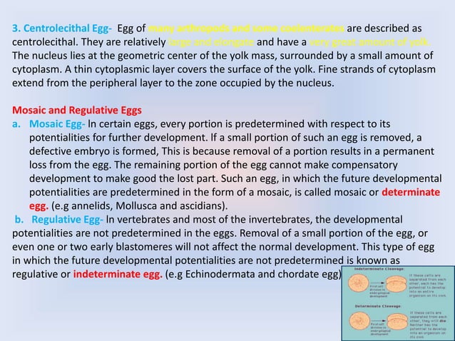 Types of egg, Classification of eggs, Structure of frog egg, Structure of chick egg, | PPTX