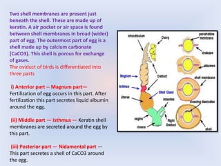 Types of egg, Classification of eggs, Structure of frog egg, Structure ...