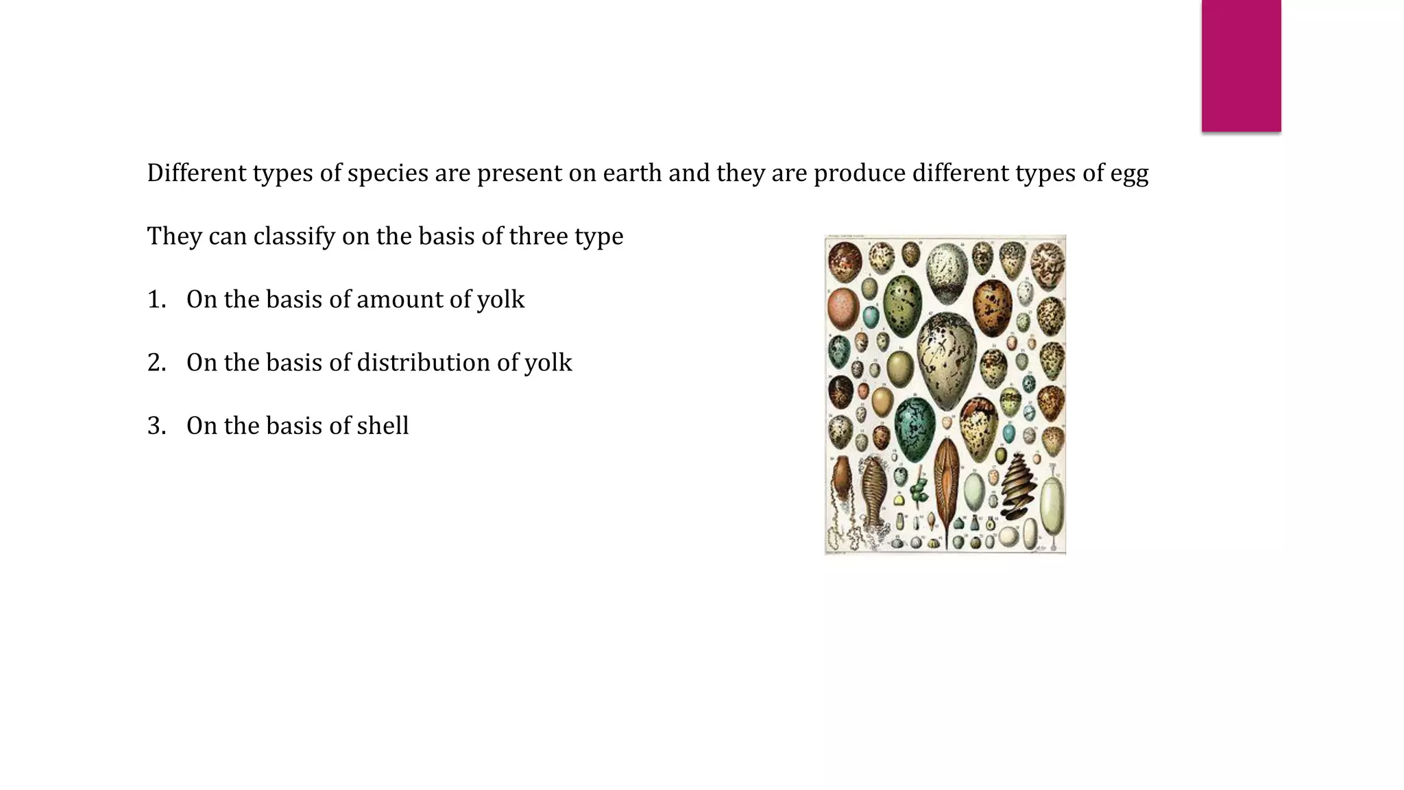 Types of egg | PDF