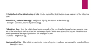 Types of egg | PDF | Science