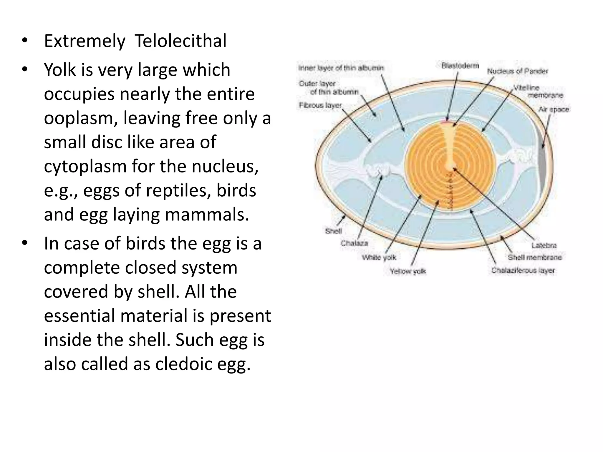 Types of eggs | PPT