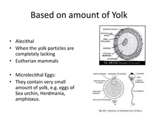 Types of eggs | PPT