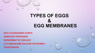 Types of eggs and Egg membranes (Developmental Zoology) | PDF