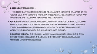 Types of eggs and Egg membranes (Developmental Zoology) | PDF