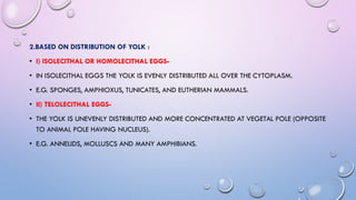 Types of eggs and Egg membranes (Developmental Zoology) | PDF