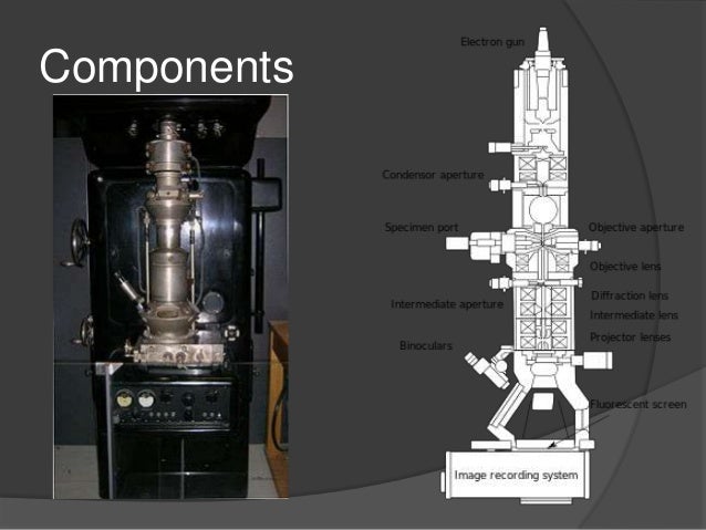 Types of electron microscope