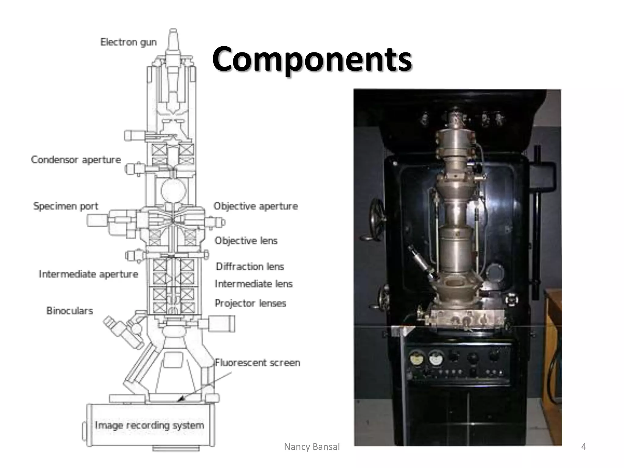 Types of electron microscope | PPTX | Geology | Science