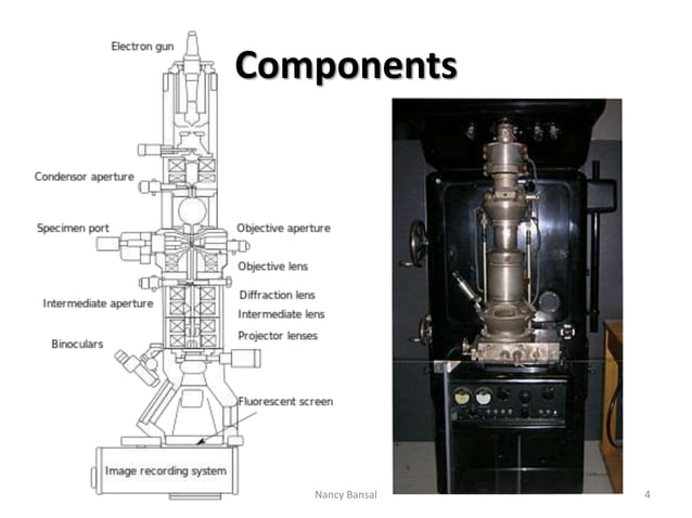 Types of electron microscope | PPTX | Geology | Science