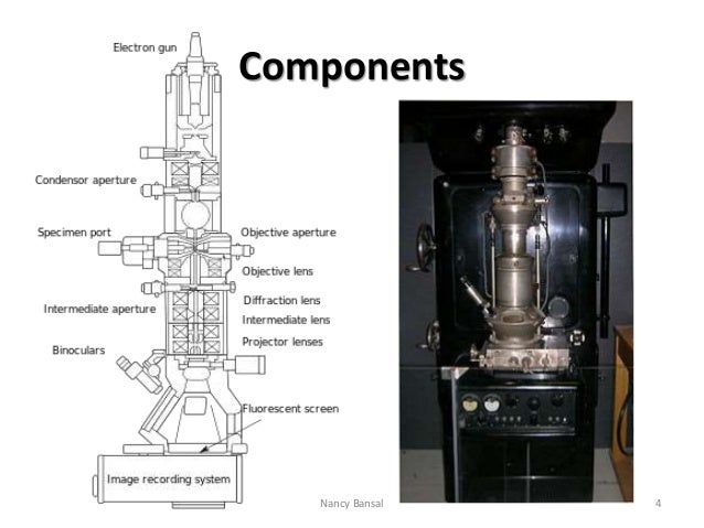 Types of electron microscope