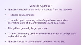 Types of electrophoresis Types of electrophoresisTypes of ...