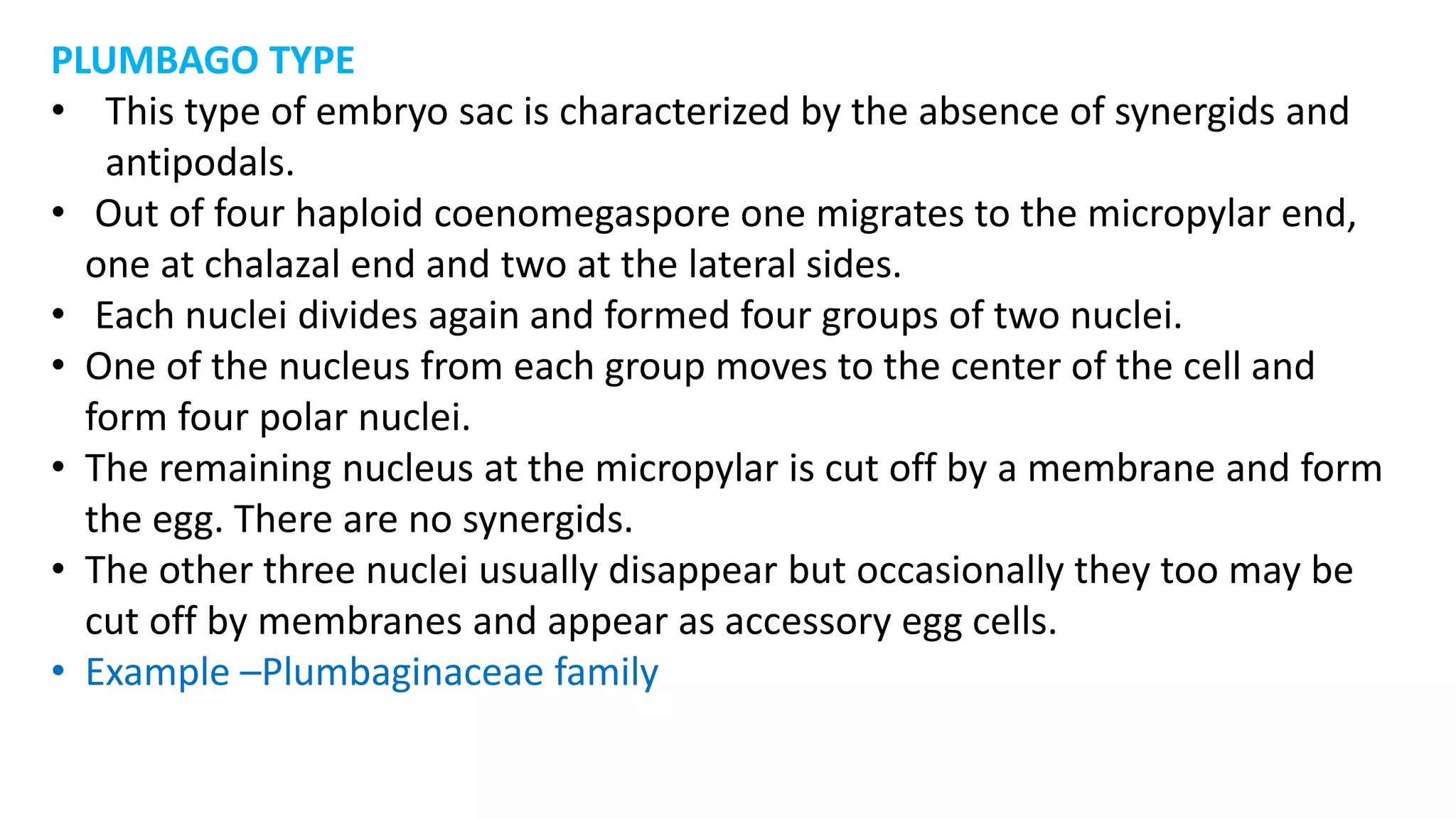 Types of embryosac | PPTX