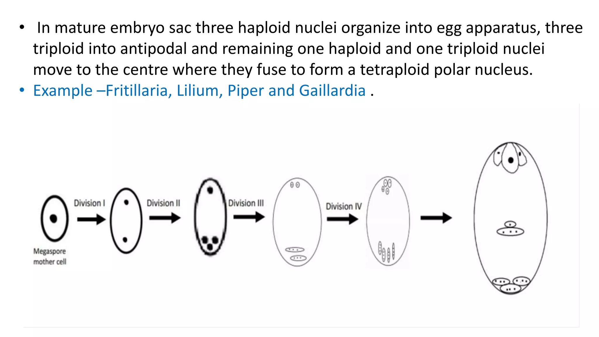 Types of embryosac | PPTX