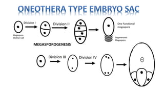 Types of embryosac | PPTX