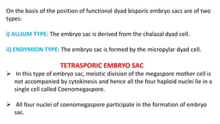 Types of embryosac | PPTX