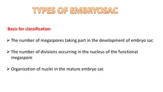 Types of embryosac | PPTX