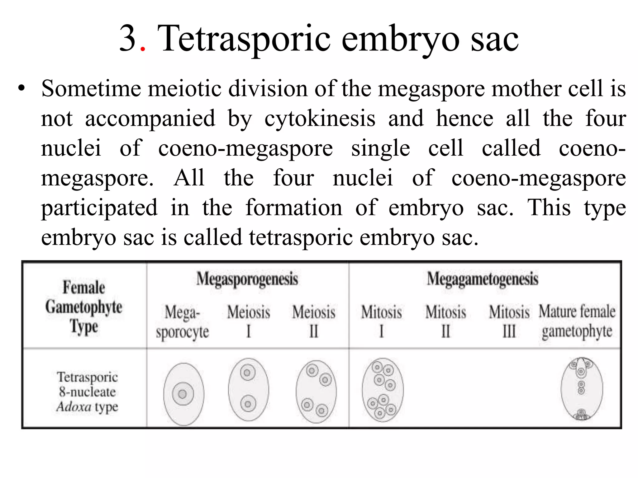 Types of embryo sac | PPTX