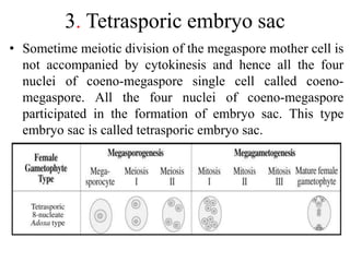 Types of embryo sac | PPTX