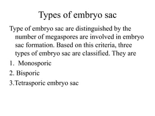 Types of embryo sac | PPTX