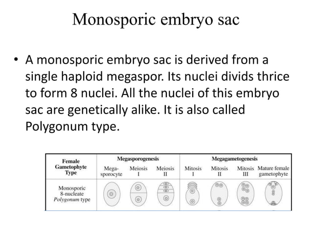 Types of embryo sac | PPTX | Biological Sciences | Science