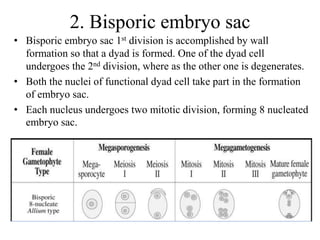 Types of embryo sac | PPTX