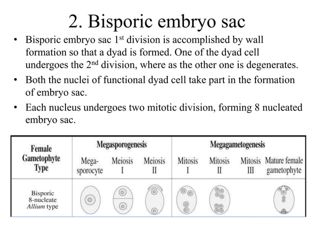 Types of embryo sac | PPTX | Biological Sciences | Science