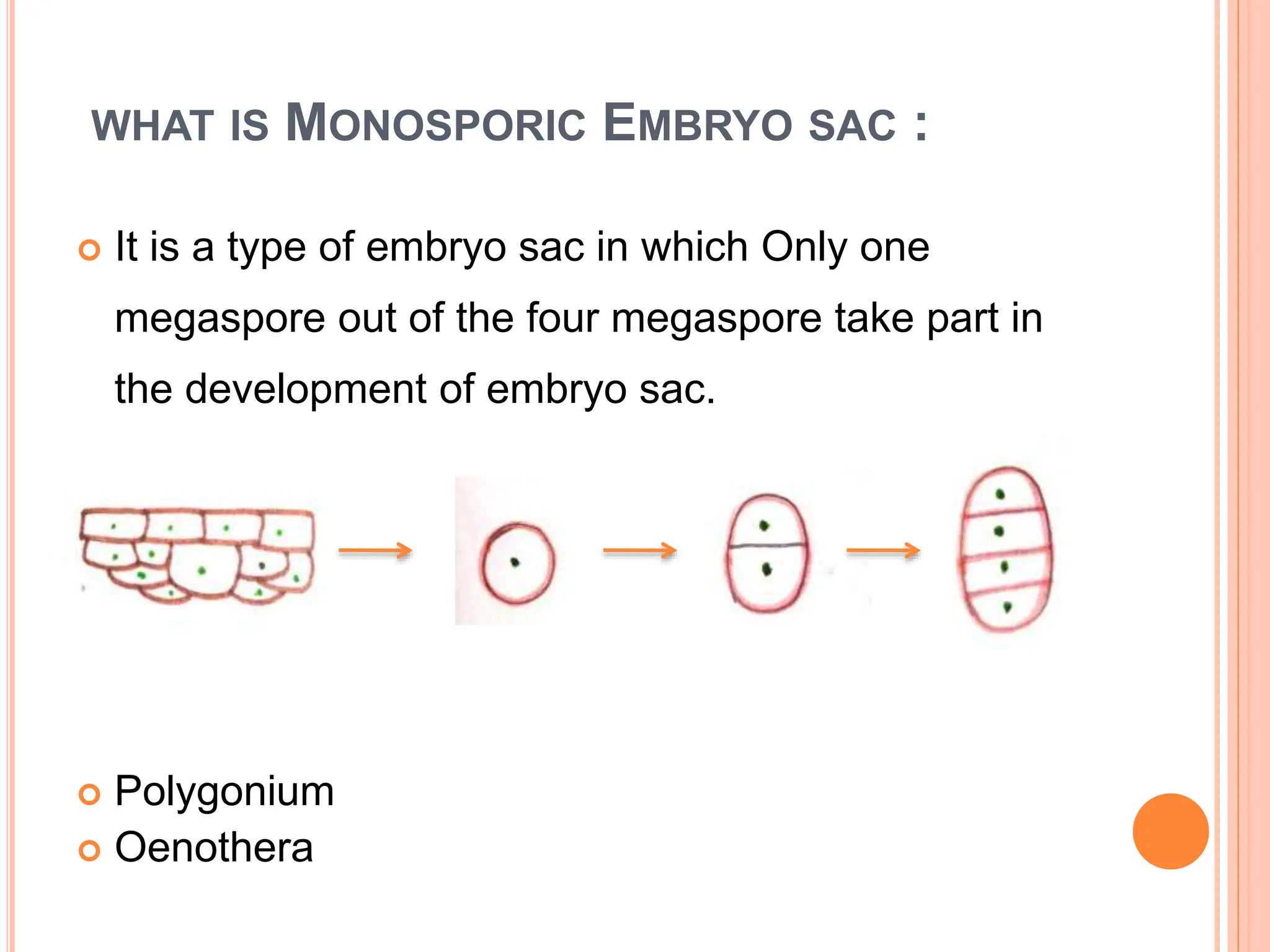 Types of embryo sac.pptx