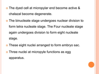 Types of embryo sac.pptx