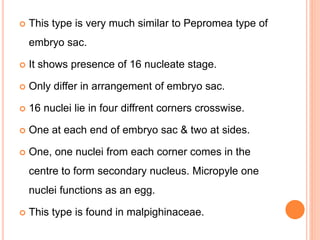 Types of embryo sac.pptx