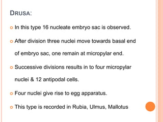 Types of embryo sac.pptx